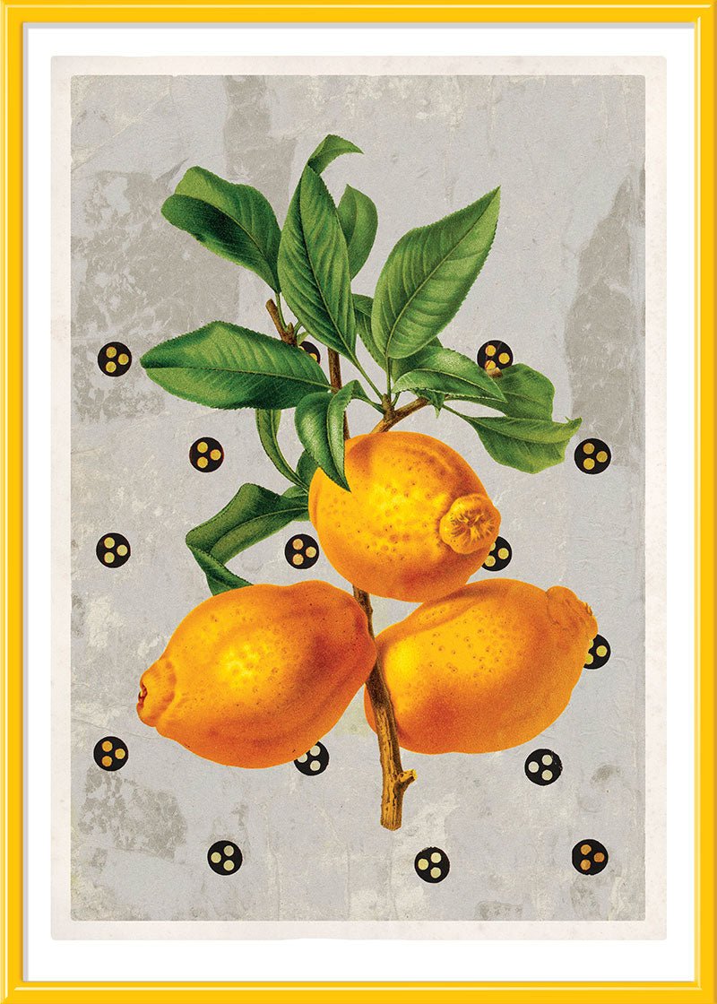 Quince Mistaken for a Lemon poster | Stoltze Studio